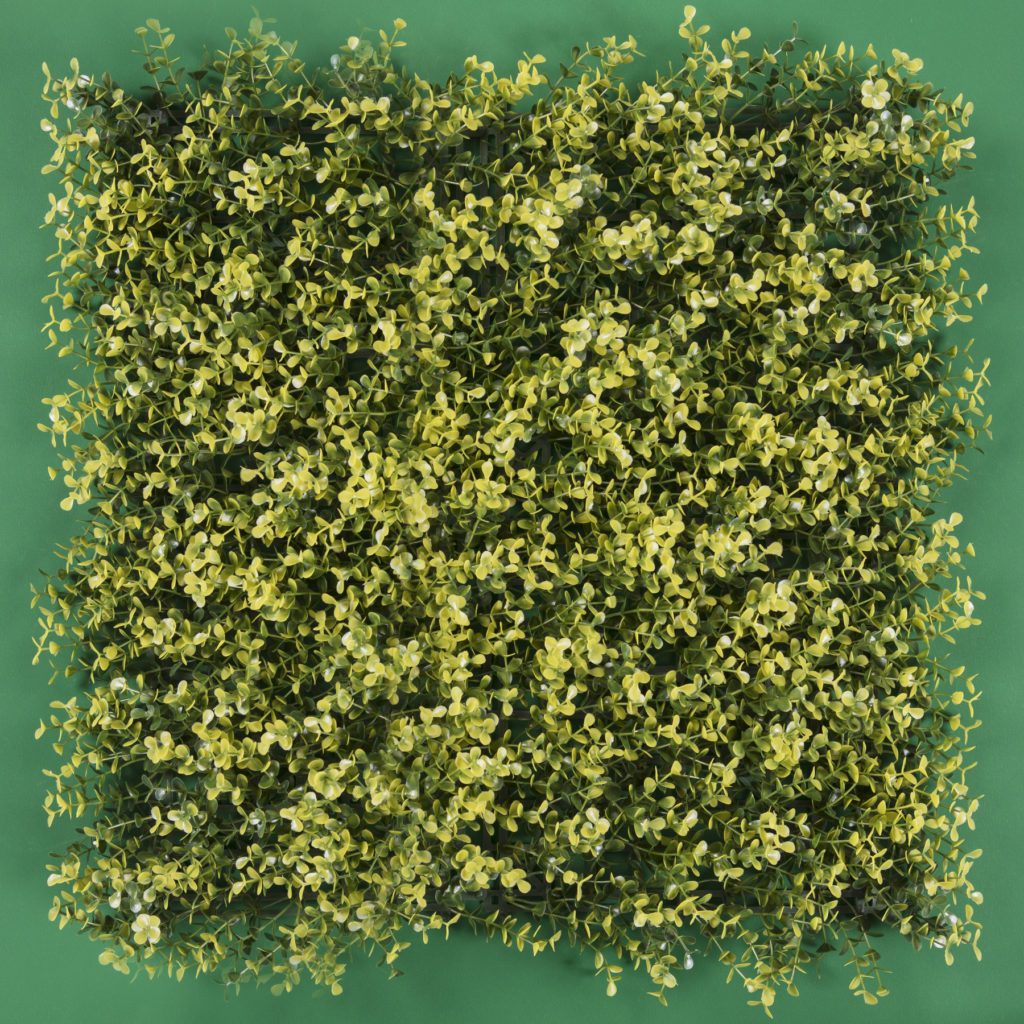 ARRAYAN AMARILLO - Tekno-Step :: El piso de tu vida